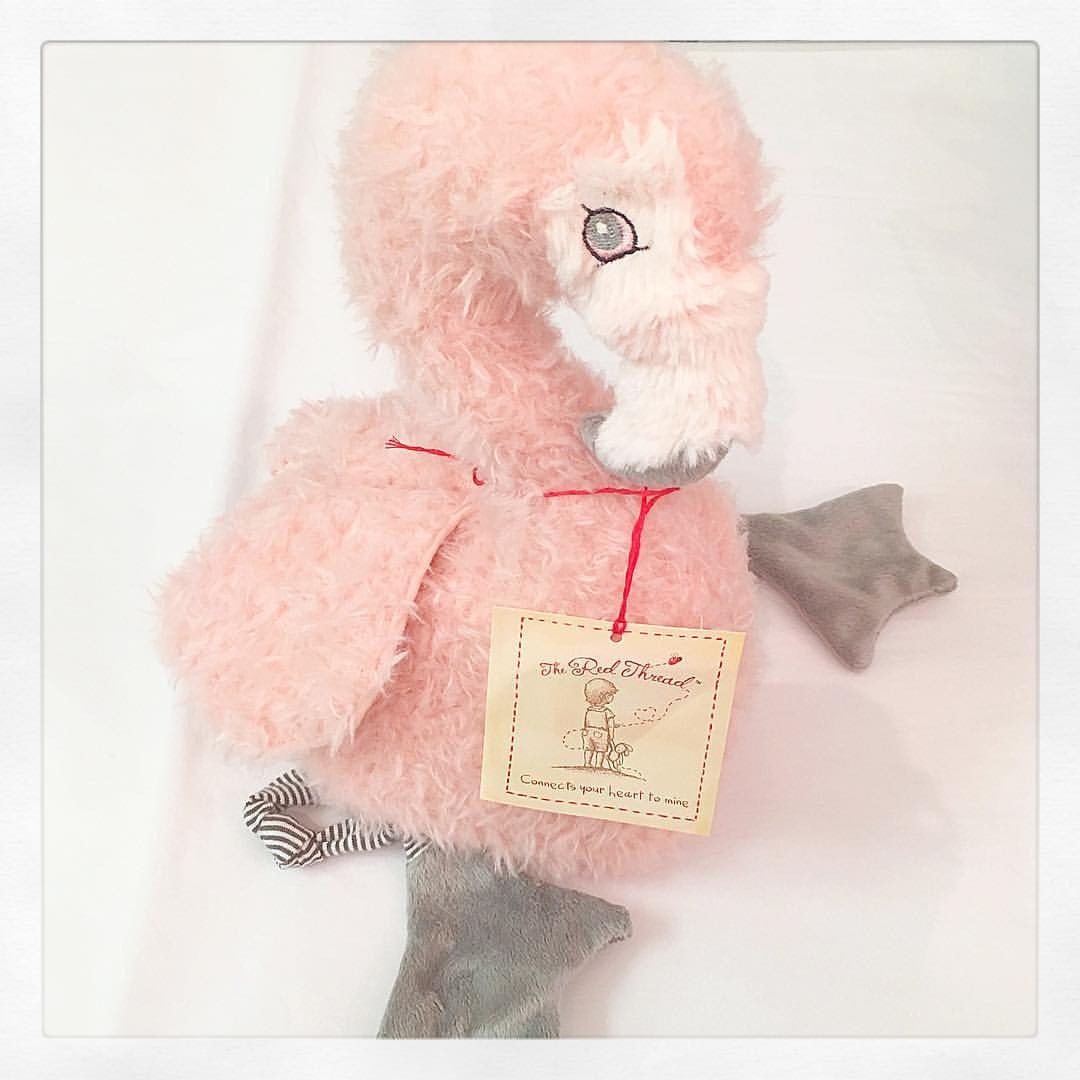 Mingo the Flamingo – Stork in the City